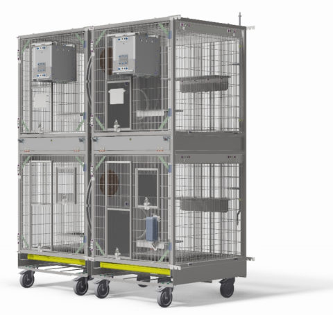 Primates - Britz & Company