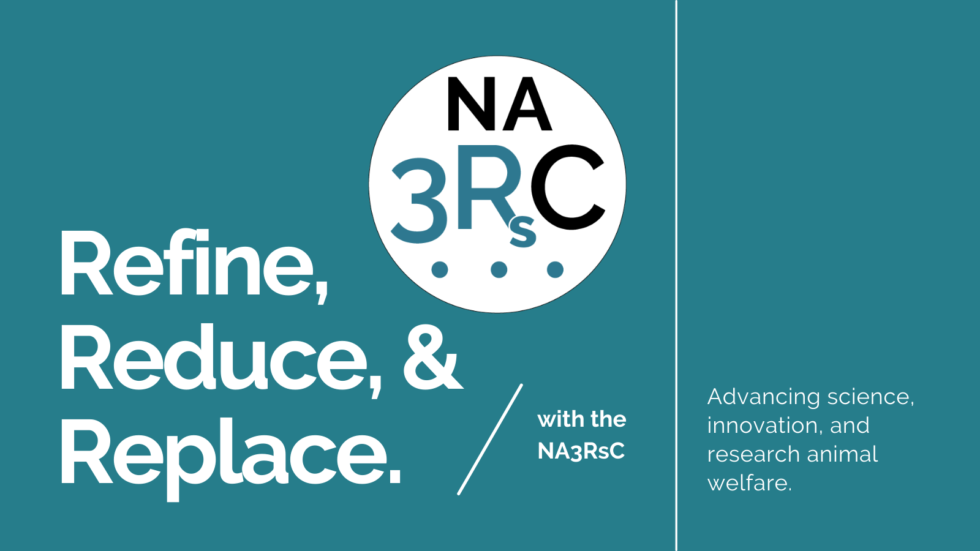 We believe in 3Rs - Britz & Company